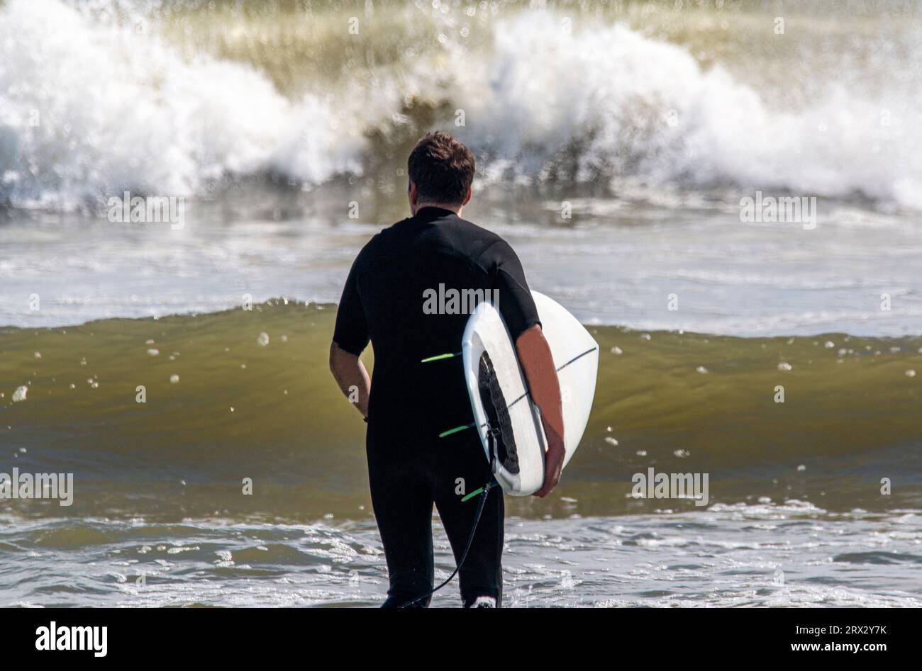 Rear view of a Surfer holding his surfboard under his arm looking at ...