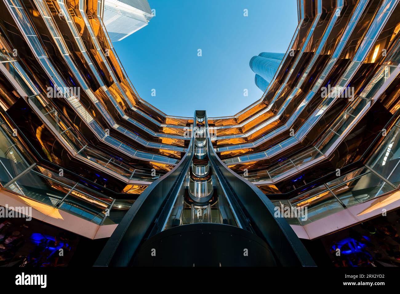 Vessel structure hi-res stock photography and images - Alamy