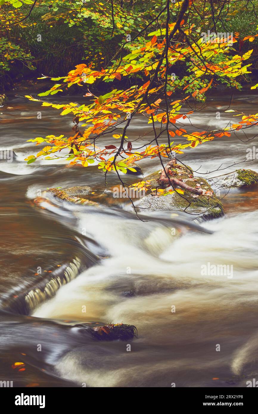 Beside the river barle hi-res stock photography and images - Alamy