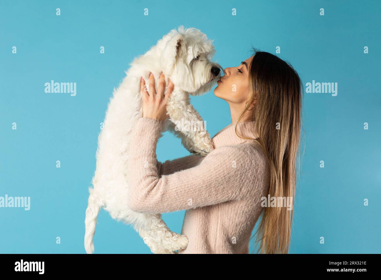 Young girl kissing a dog on the nose. High quality photo Stock Photo ...
