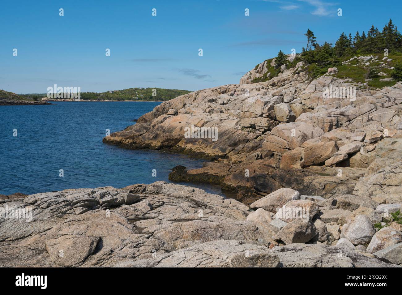 Rocky Coastline by the Atlantic Ocean, Dr. Bill Freedman Nature ...