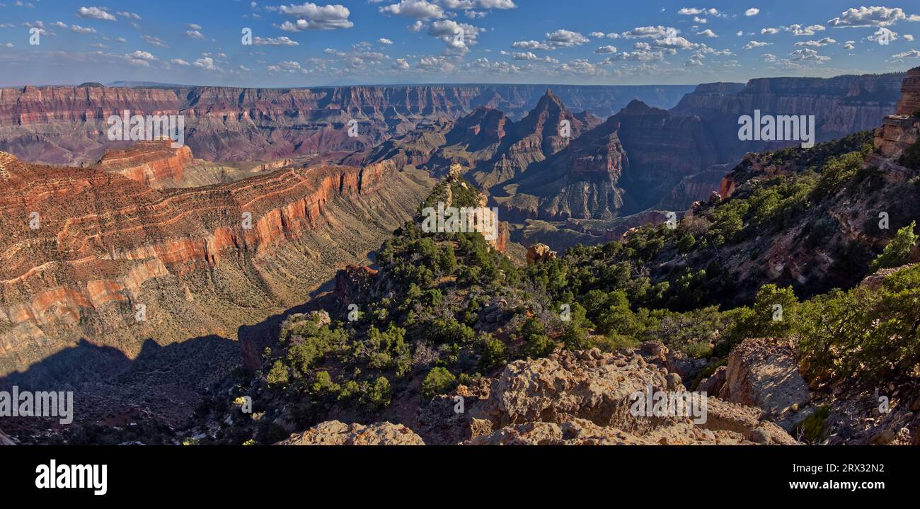Viewed from cape final hi-res stock photography and images - Alamy