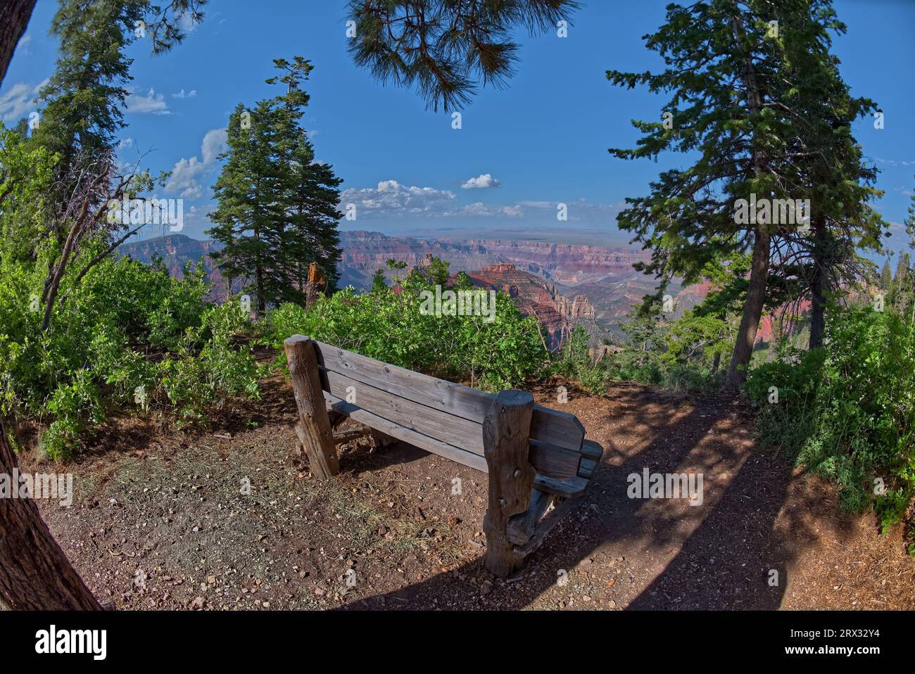 A bench overlooking Grand Canyon North Rim from the Vista Encantada ...