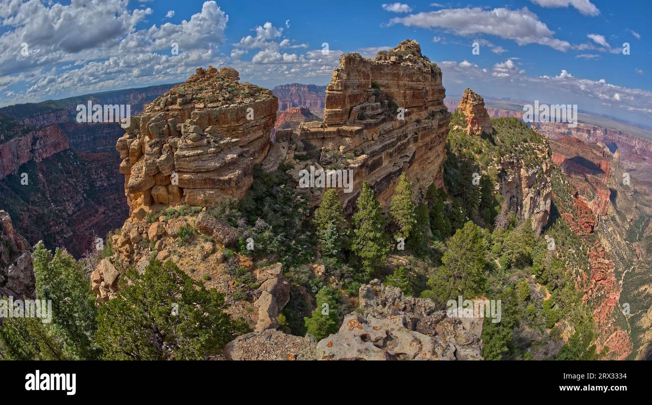 The summit of Tritle Peak off Roosevelt Point on Grand Canyon North Rim ...