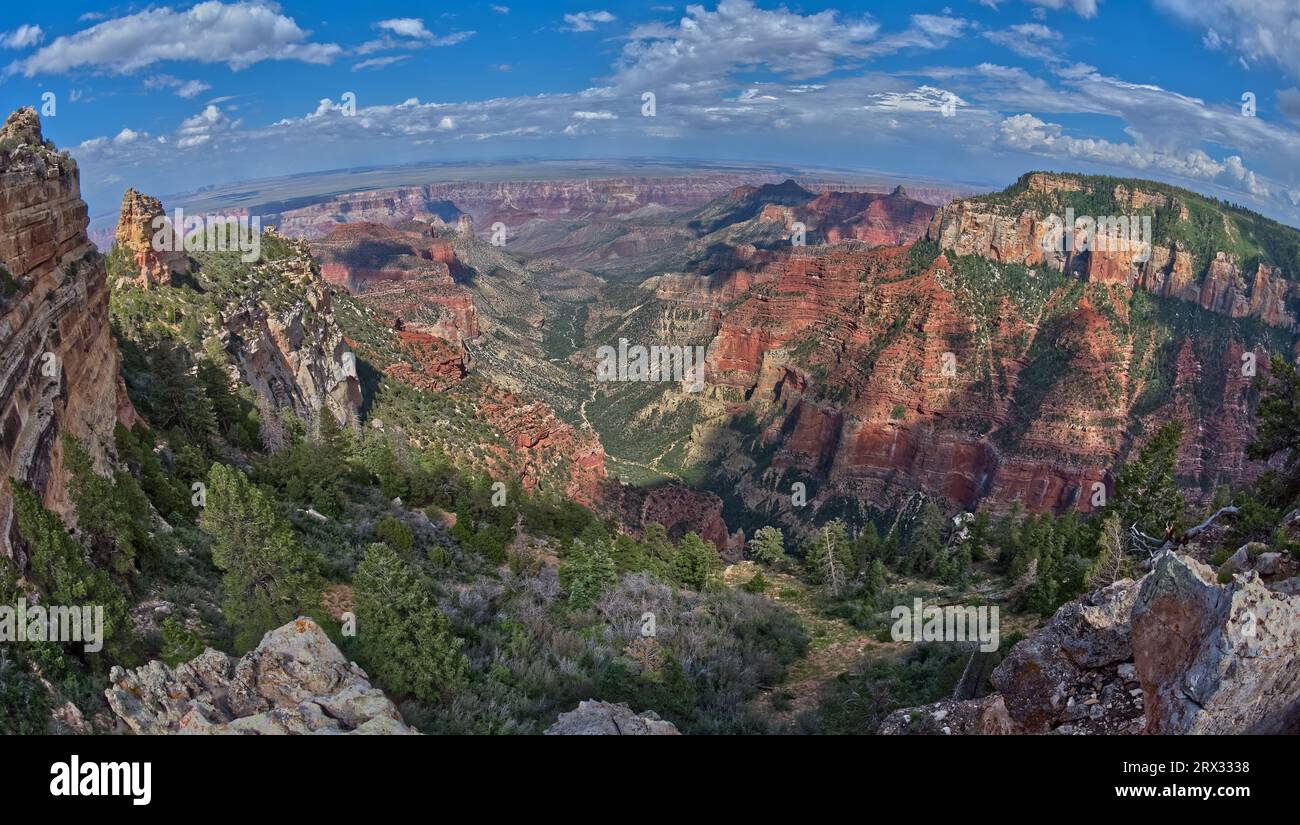 Grand Canyon North Rim viewed from Roosevelt Point with Tritle Peak on ...