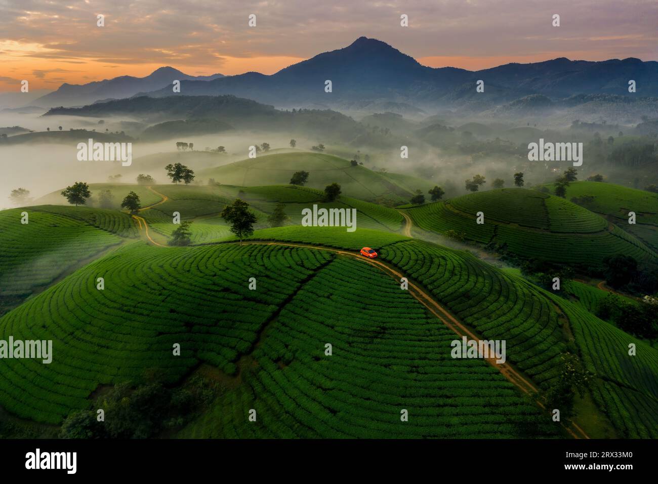 Car hill tea hi-res stock photography and images - Alamy