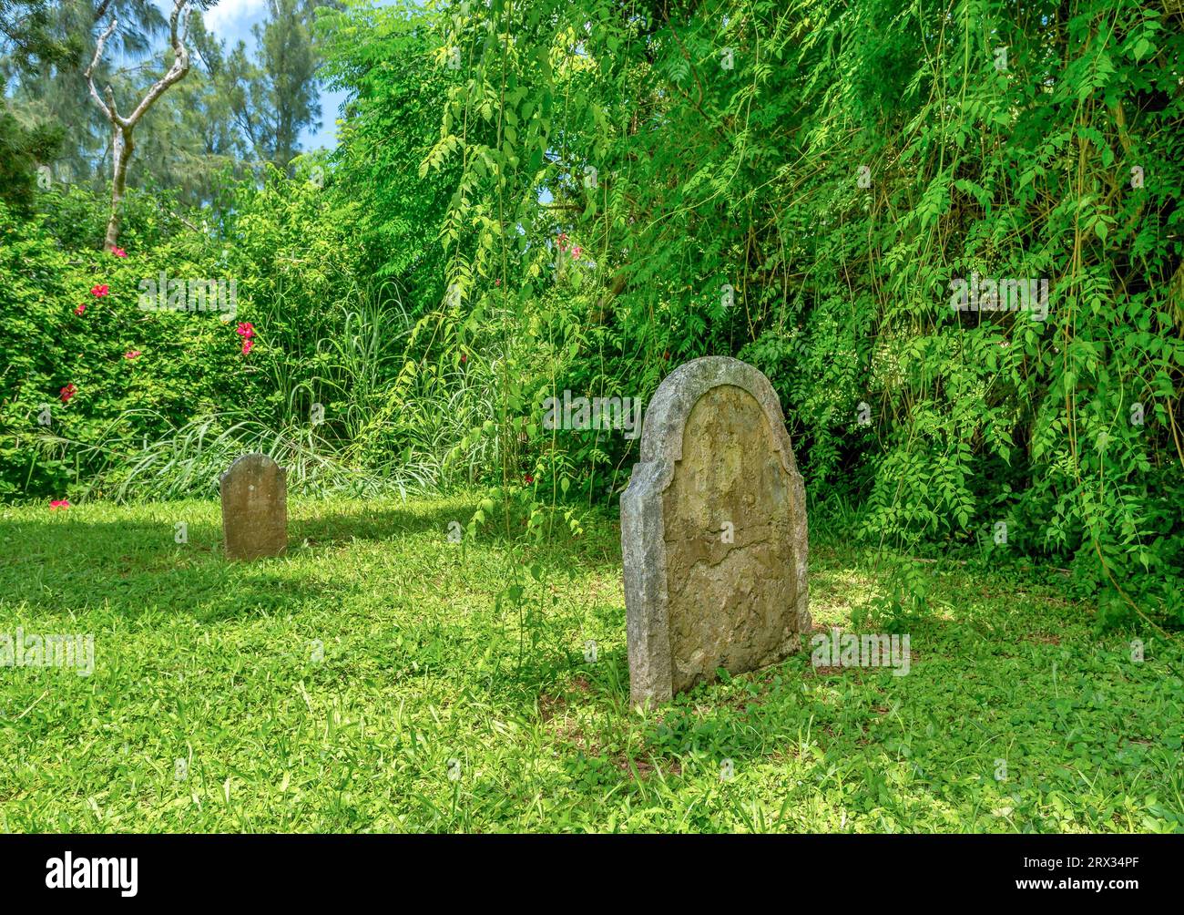 Convict cemetery hi-res stock photography and images - Alamy