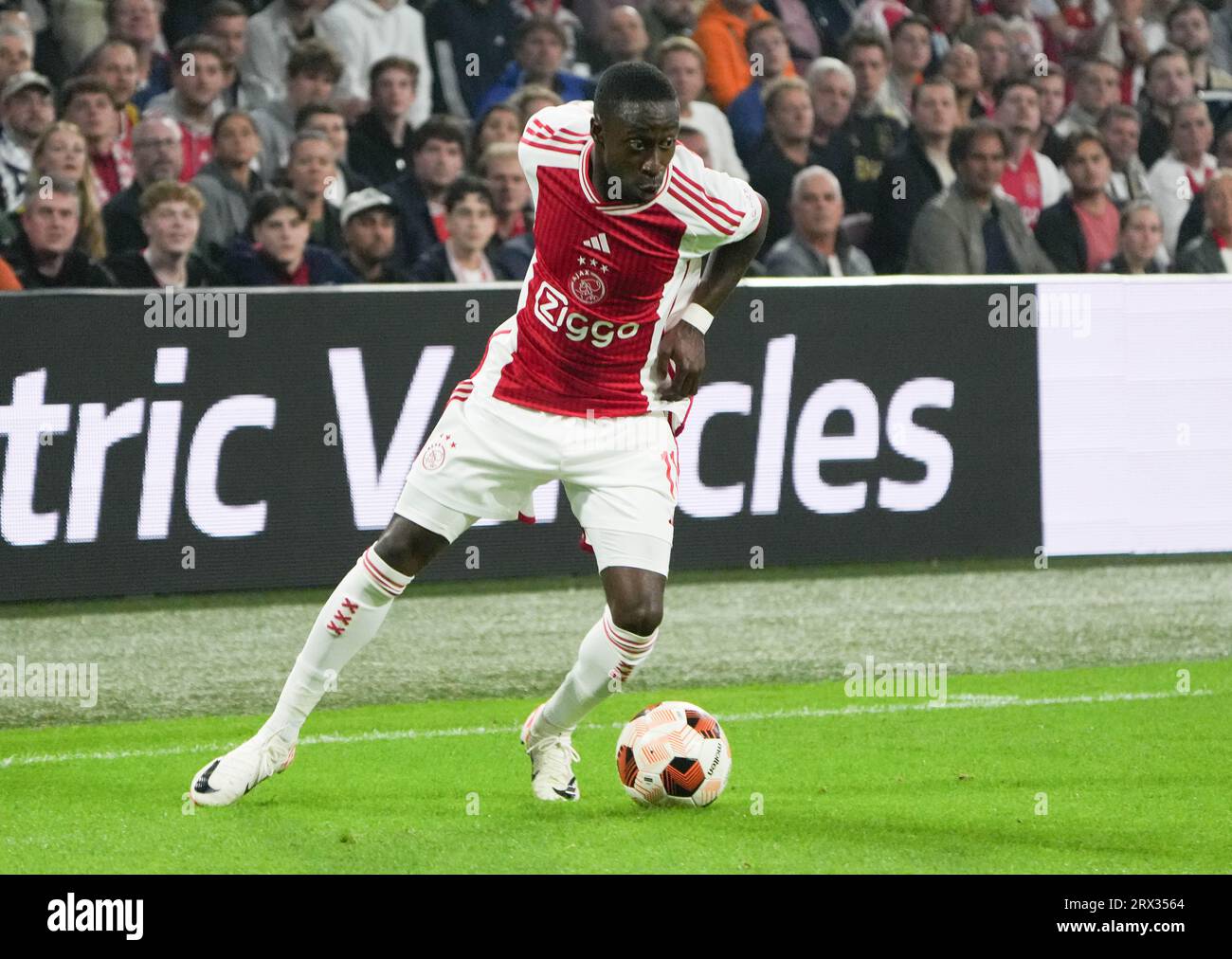 Forbs hi-res stock photography and images - Alamy