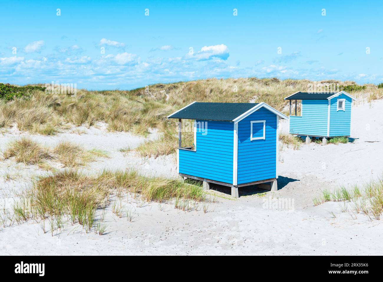 Colourful, windswept wooden bathing huts in the sand dunes on the beach ...
