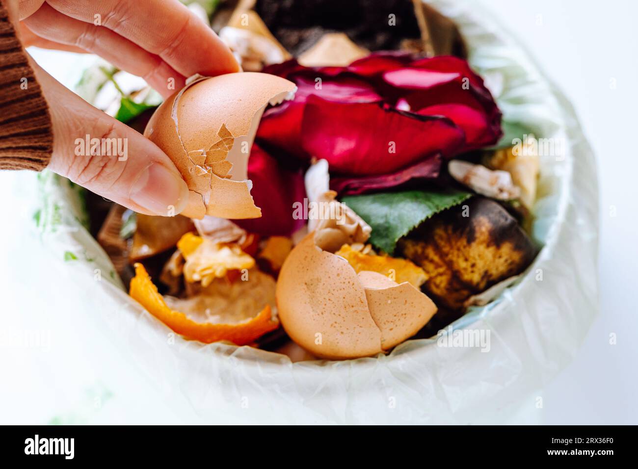 Food leftovers in bio-waste bin Stock Photo - Alamy