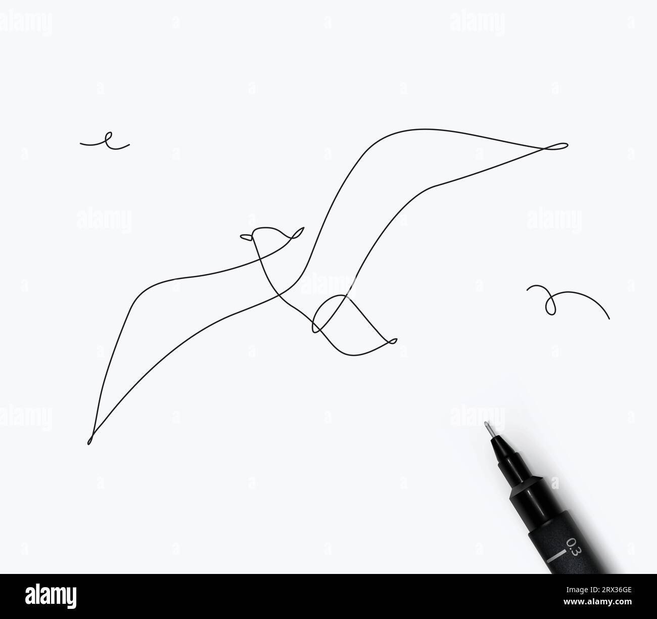 Seagull drawing in minimalism style pen line style on white background ...