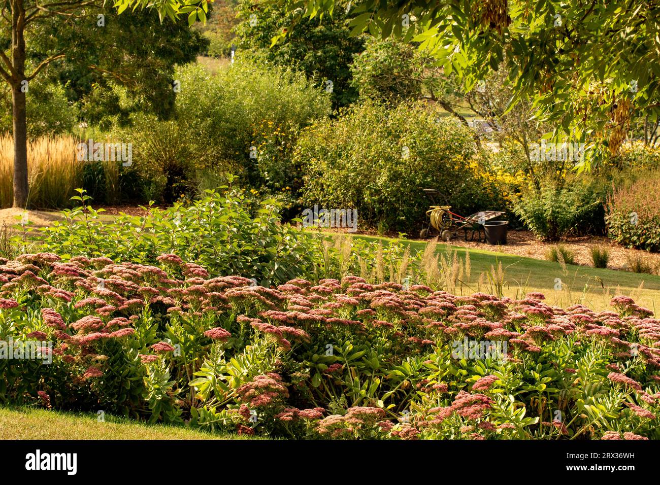 Natural environmental patterns as an intimate landscape with a bed of ...