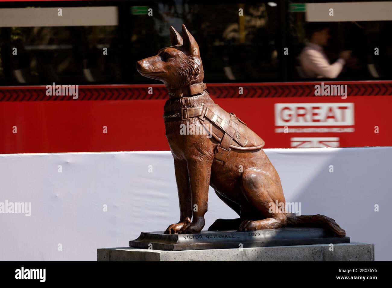 Latin proteus proteus hi-res stock photography and images - Alamy