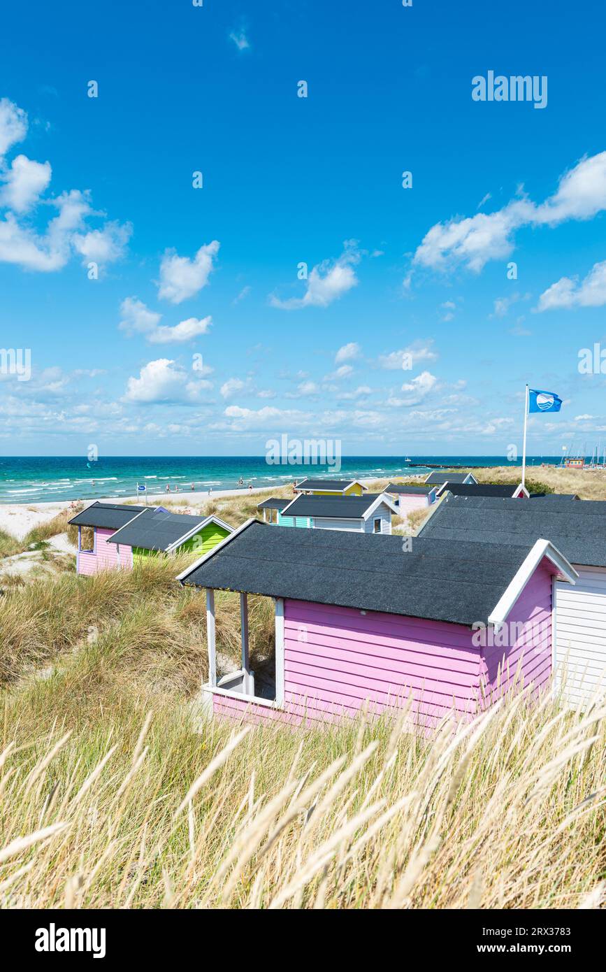 Colourful, windswept wooden bathing huts in the sand dunes on the beach ...