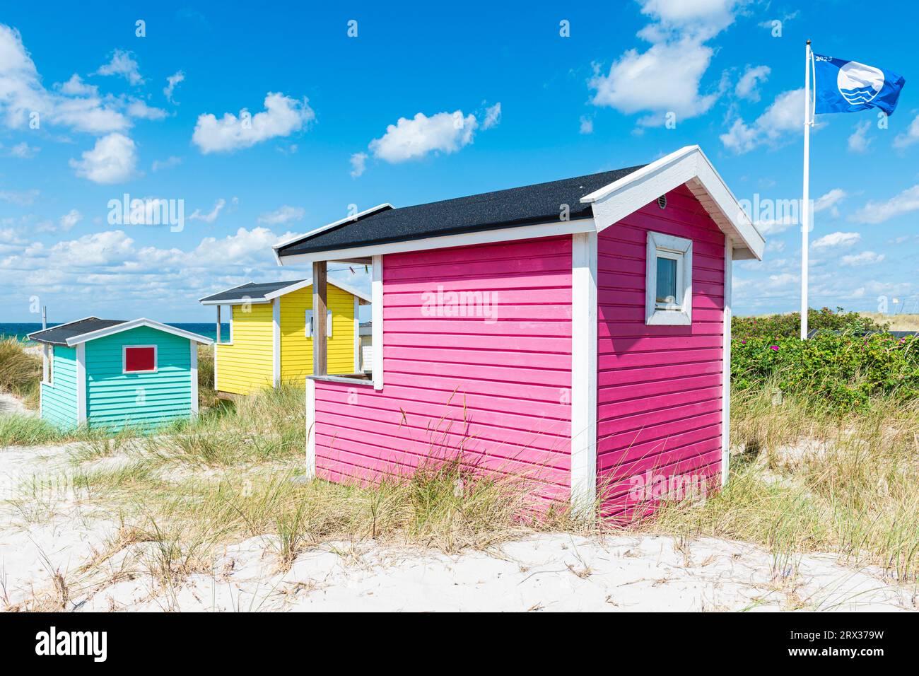 Colourful, windswept wooden bathing huts in the sand dunes on the beach ...