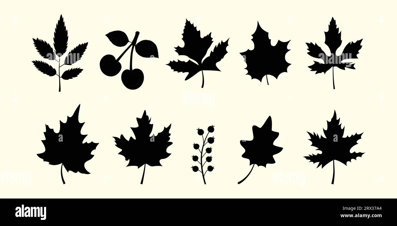 Natural elements collection in Stock Vector Images - Alamy