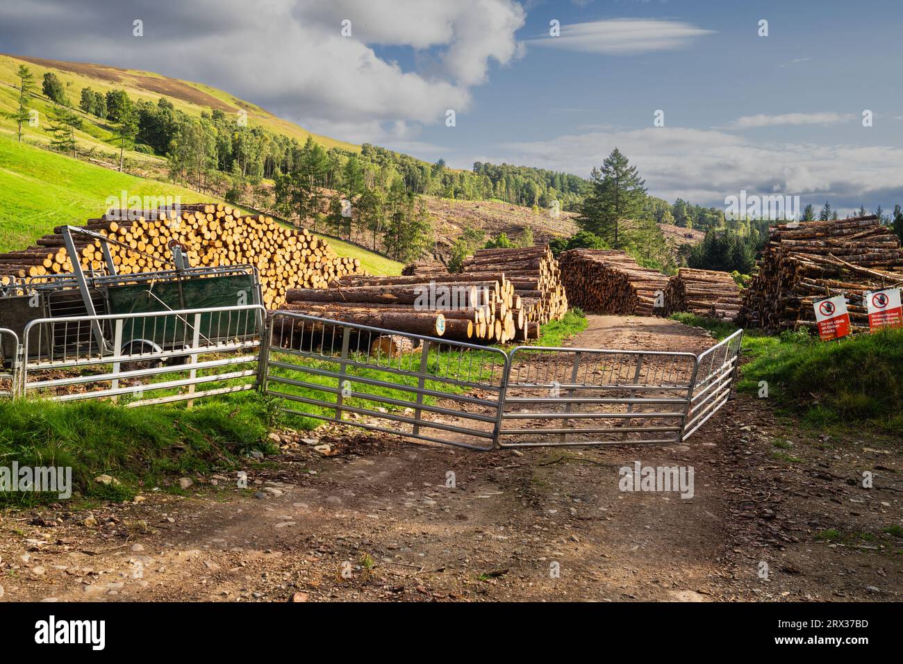 12.09.2023 Glen Tilt, Perthshire, Scotland, Uk. Logging stacks above ...