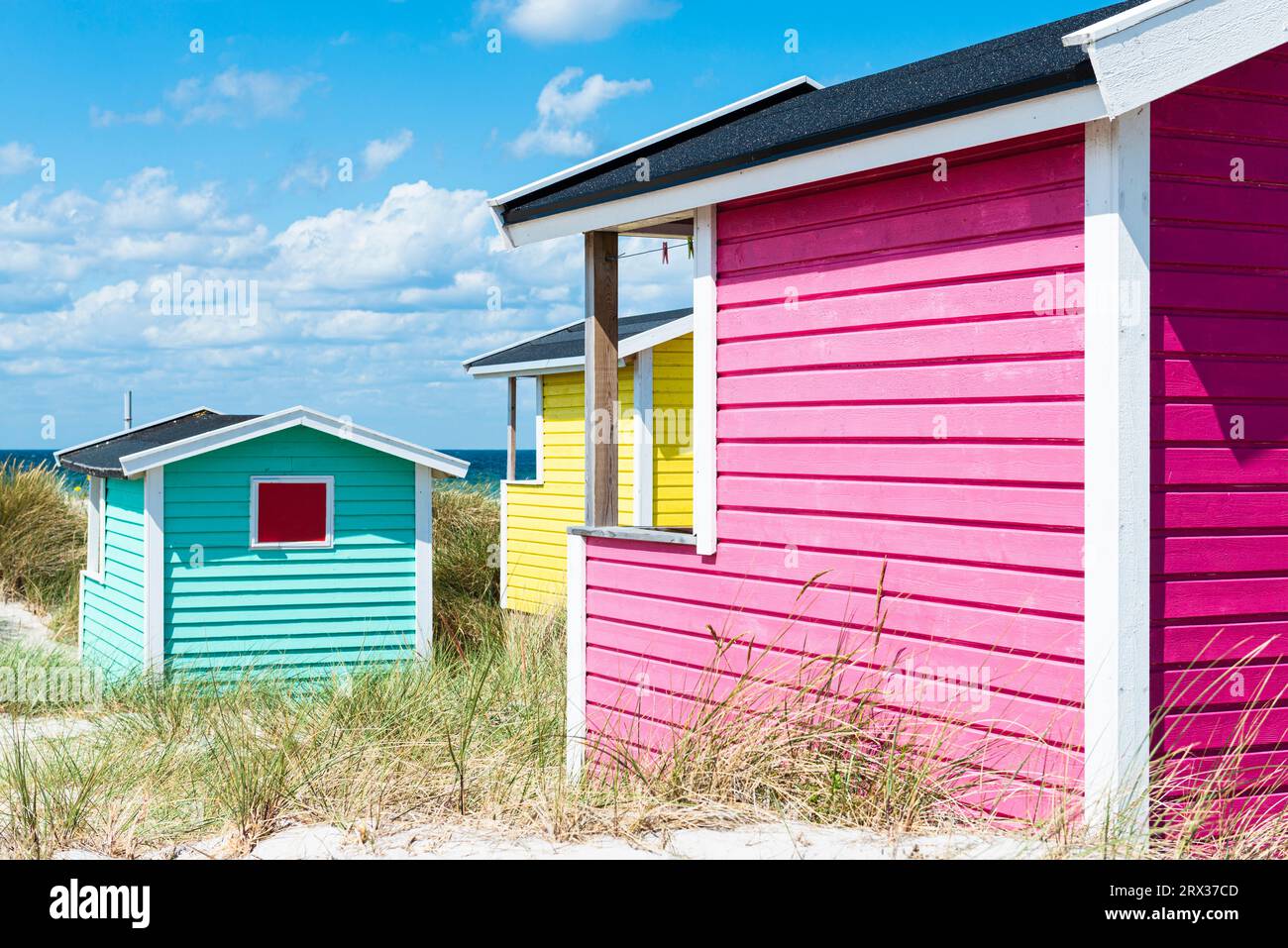 Colourful, windswept wooden bathing huts in the sand dunes on the beach ...