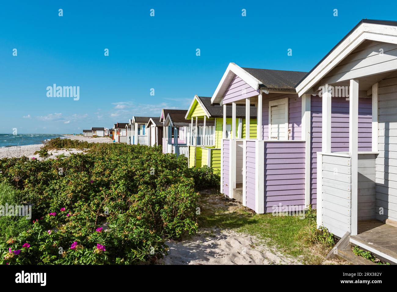 Colourful, windswept wooden bathing huts in the sand dunes on the beach ...