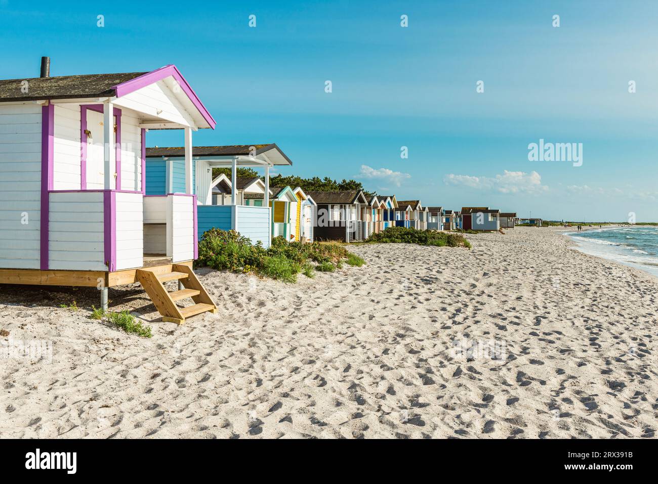 Colourful, windswept wooden bathing huts in the sand dunes on the beach ...
