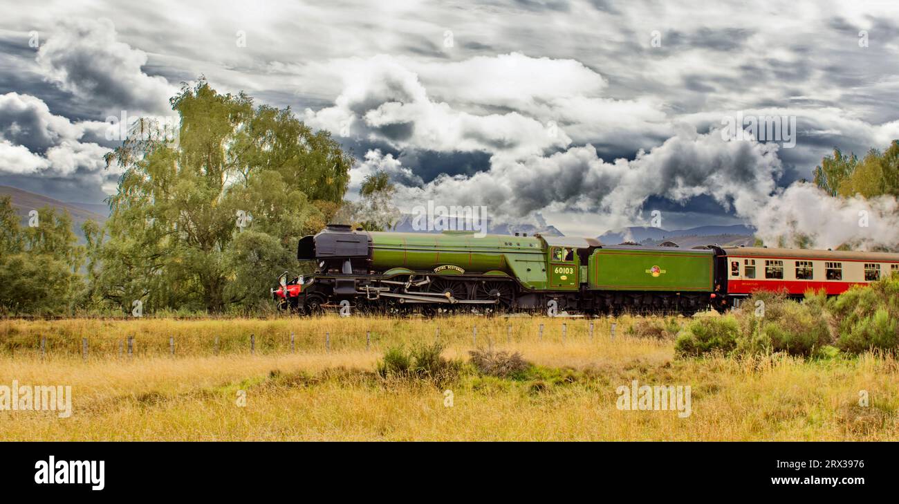 Flying Scotsman steam train en route to Boat of Garten with the ...