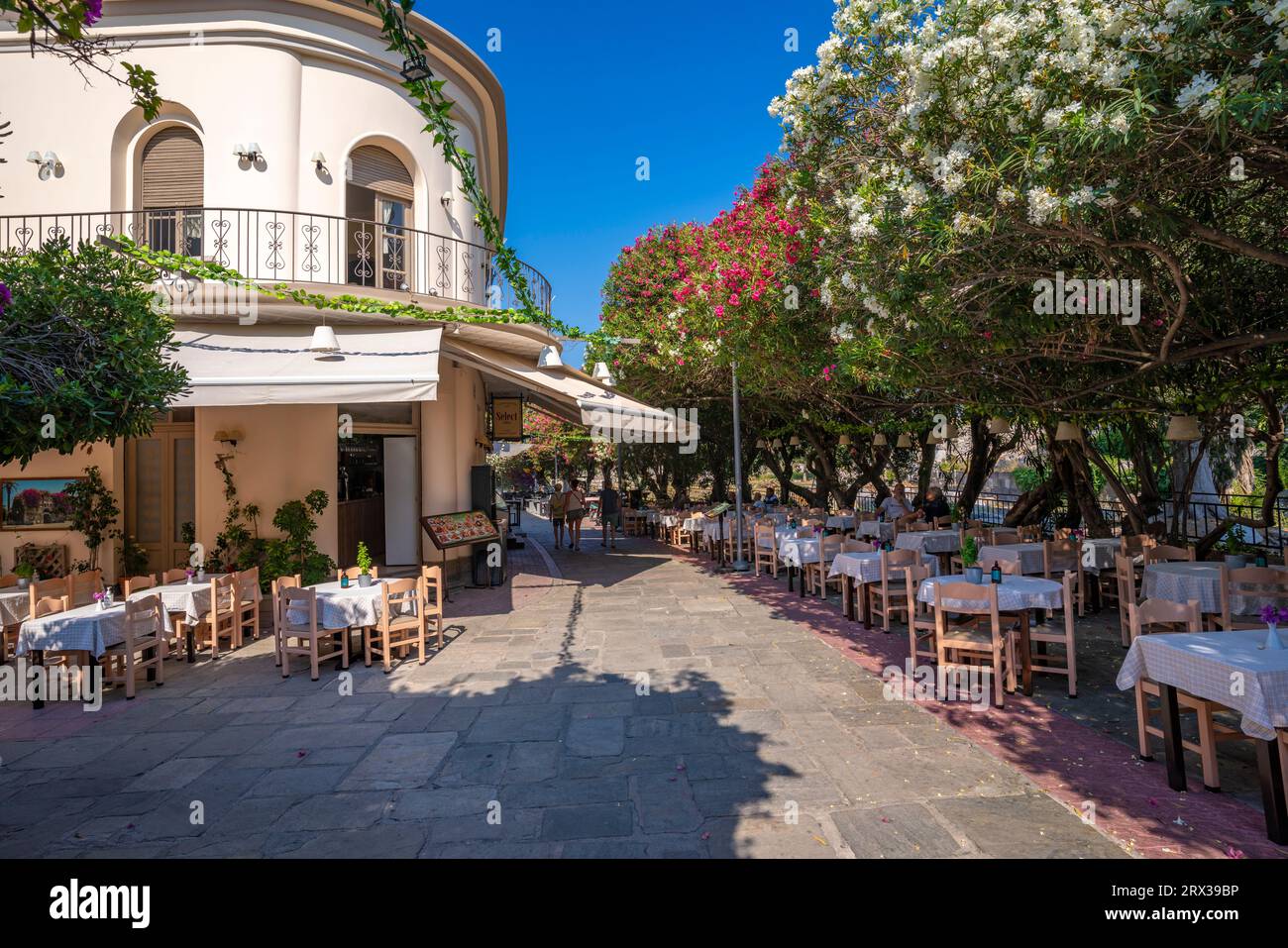 View of taverna among flowering trees, Kos Town, Kos, Dodecanese, Greek ...