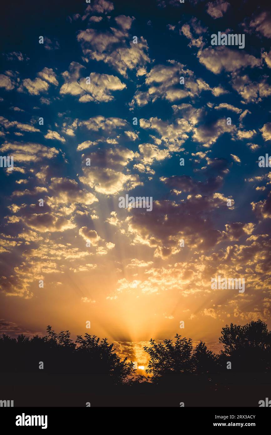 A beautiful sunset in summer day, with sun rays dancing among the ...