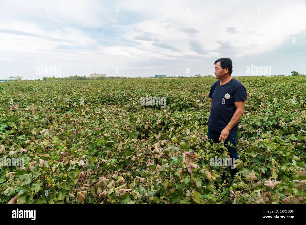 Urumqi, China's Xinjiang Uygur Autonomous Region. 14th Sep, 2023 ...