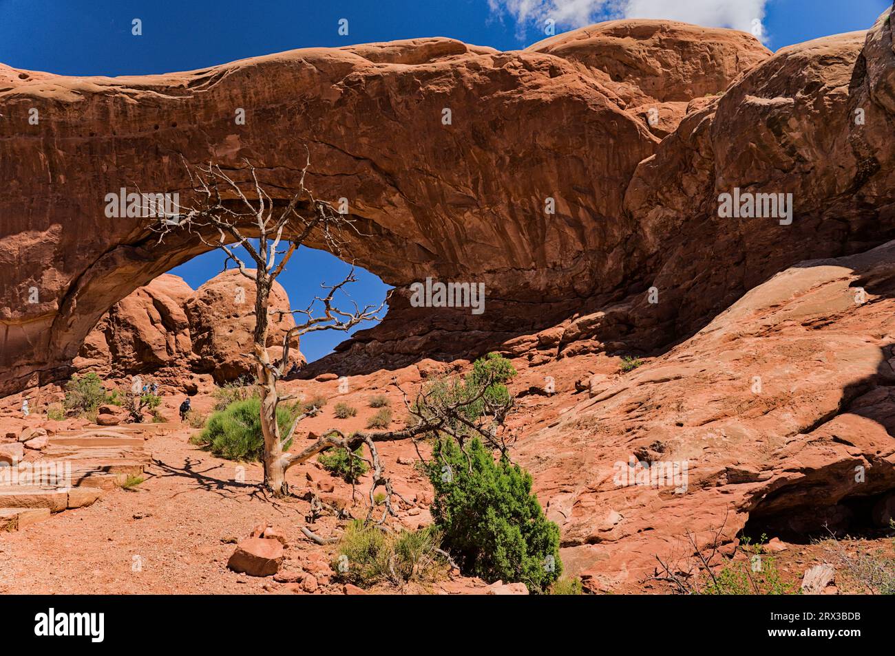 The Arches National Park, Moab (Utah Stock Photo - Alamy