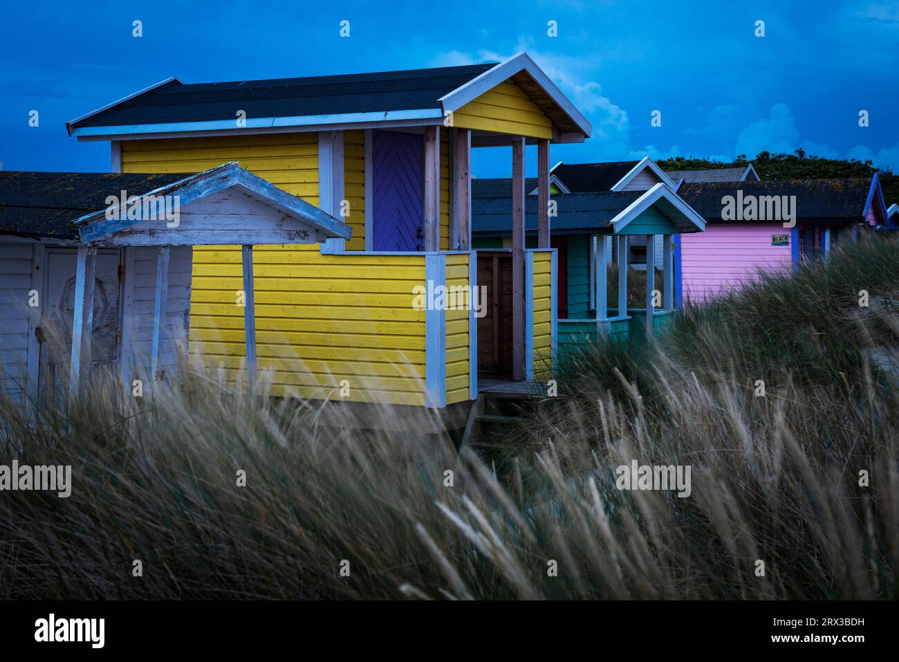 Colourful bathing huts in the sand dunes on the beach of Skanör glow in ...