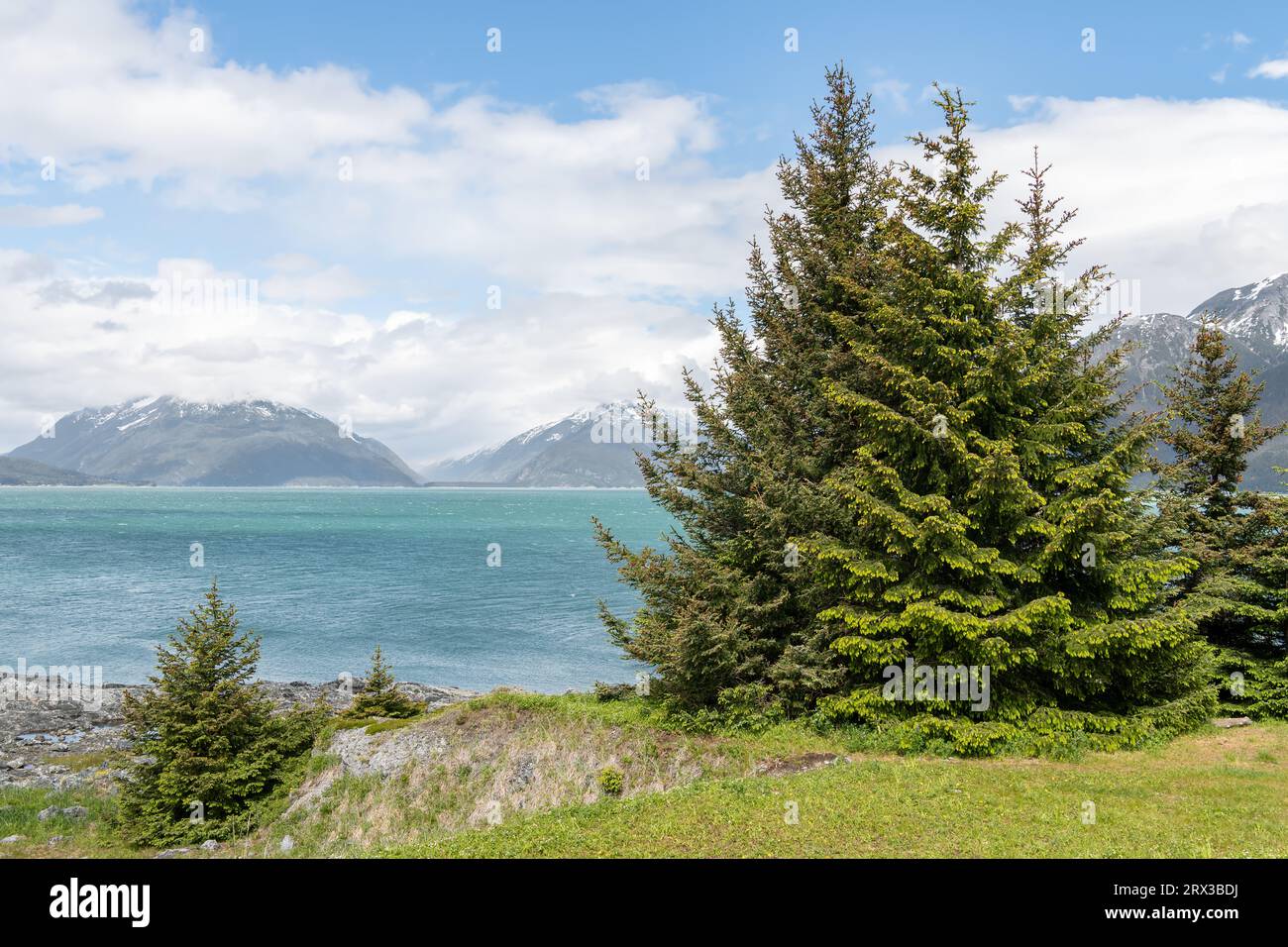Chilkat Inlet from the Battery Point Trail in the Chilkat State Park ...