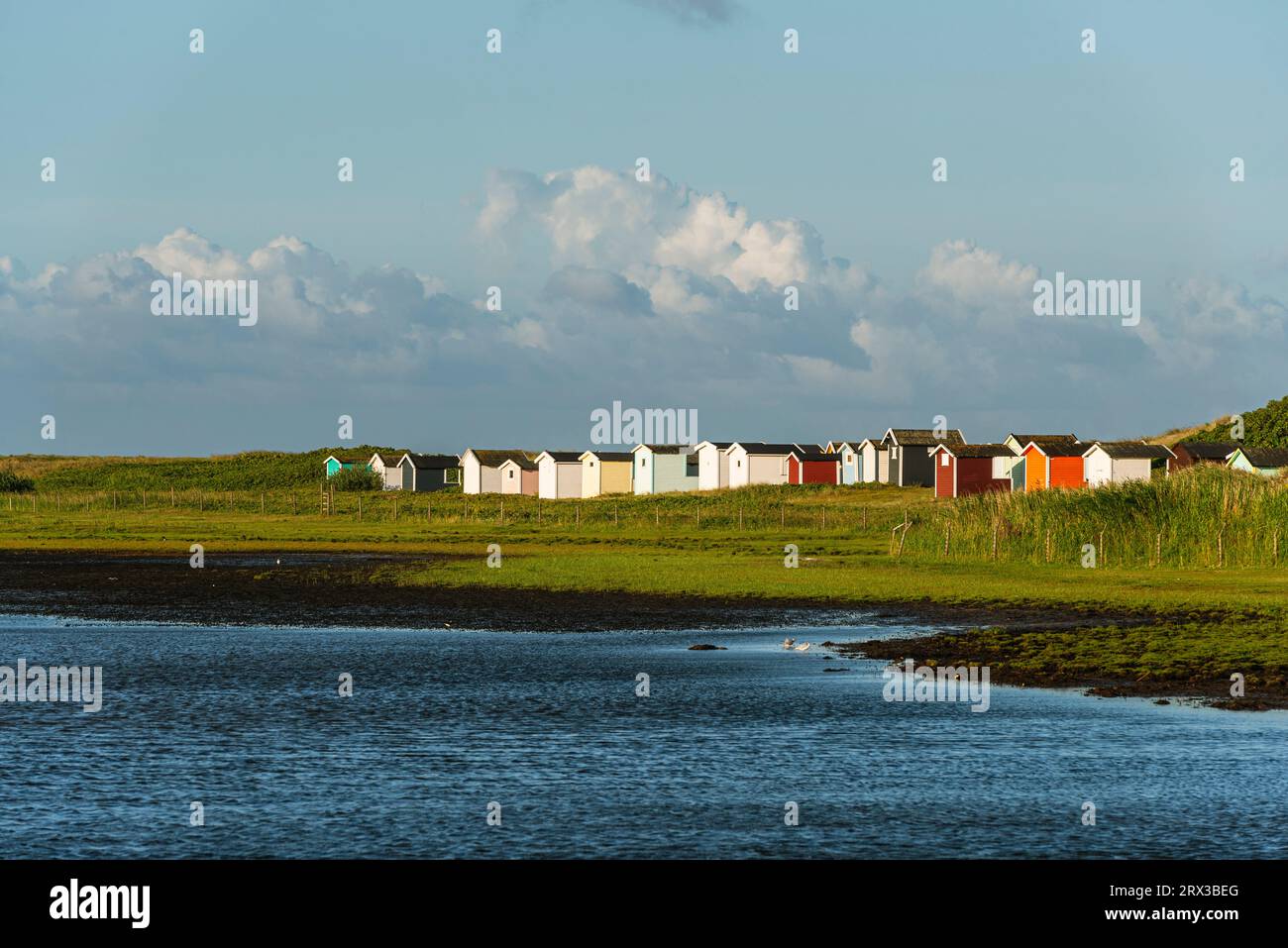 Colourful bathing huts in the dunes on Skanör med Falsterbo beach, in ...