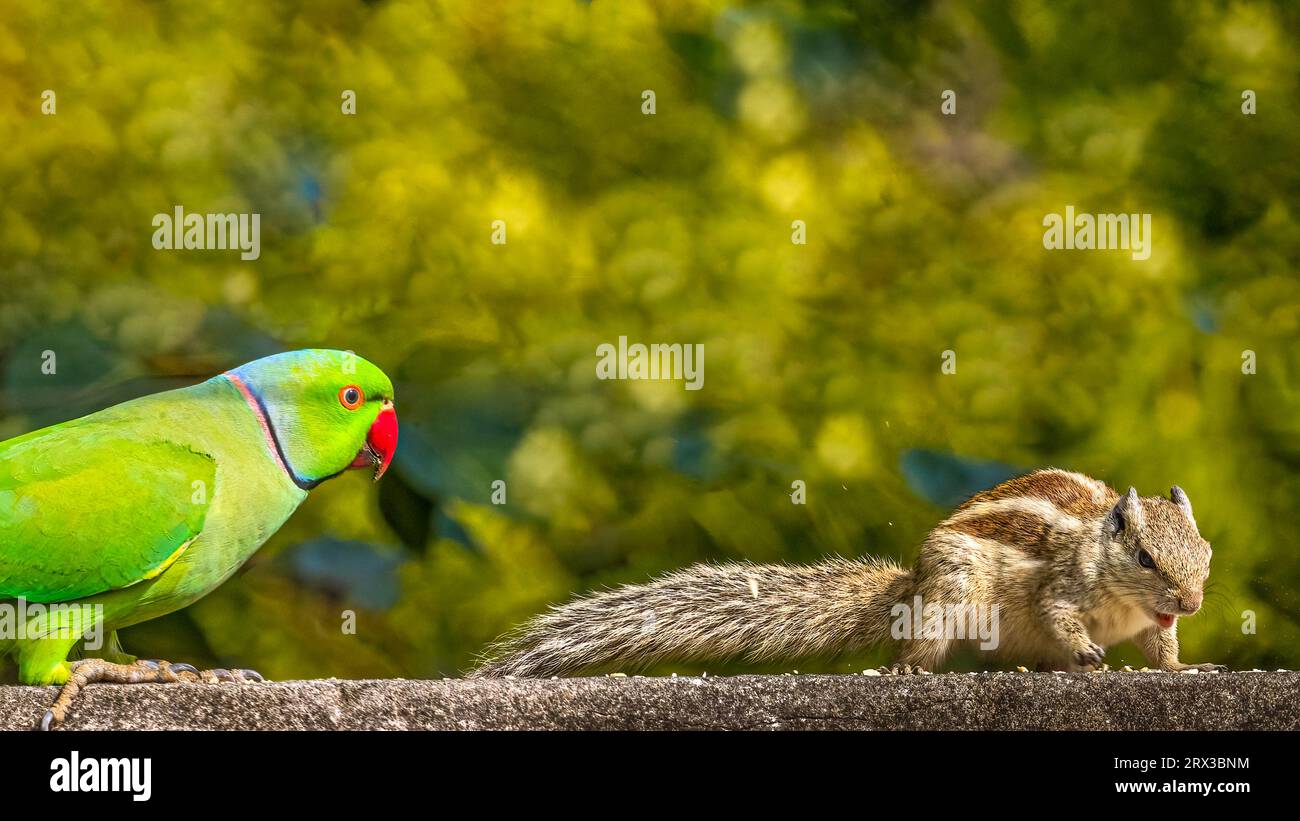 She is cute hi-res stock photography and images - Alamy