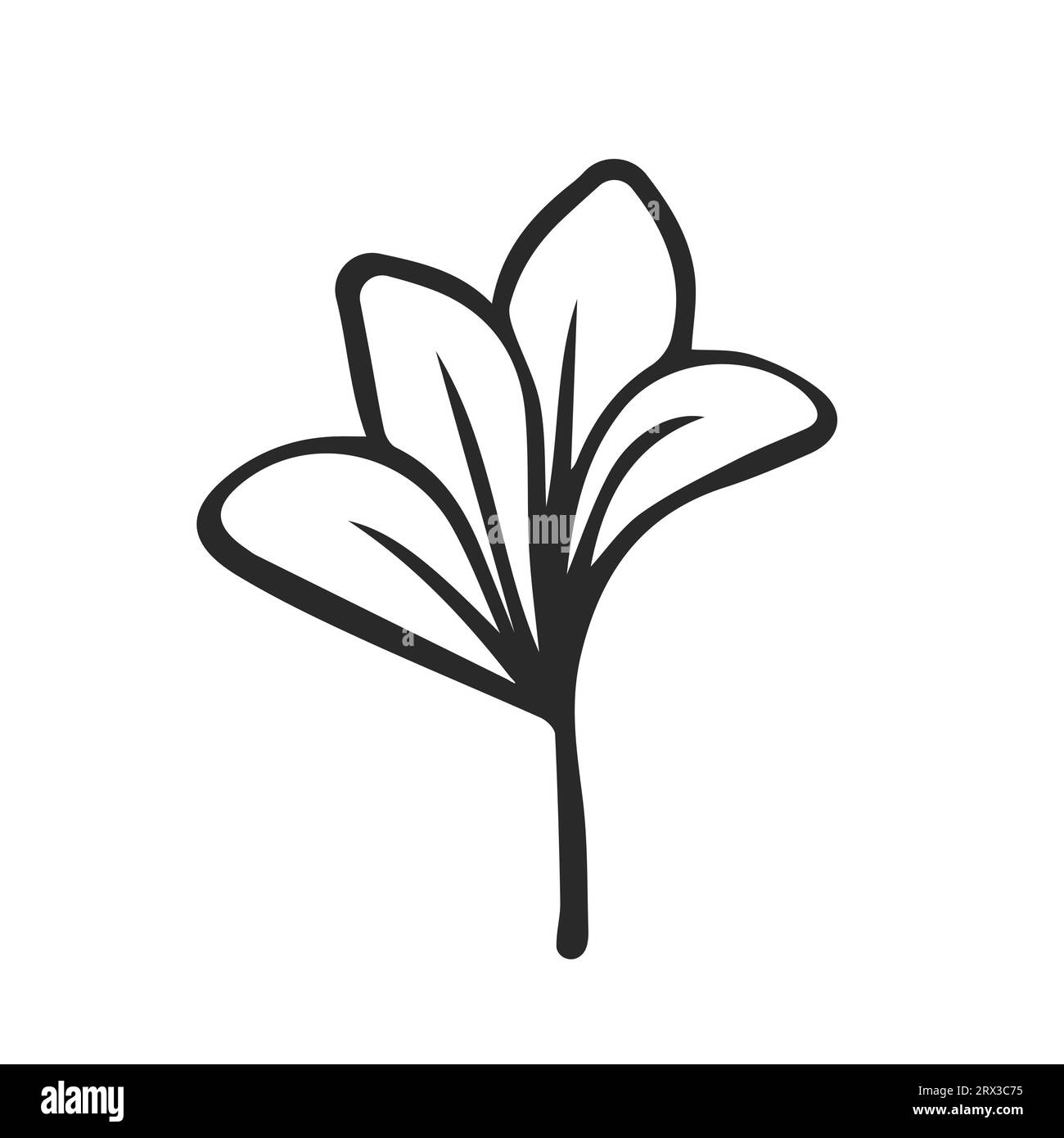Doodle style vector illustration. Simple element of twig and leaves ...