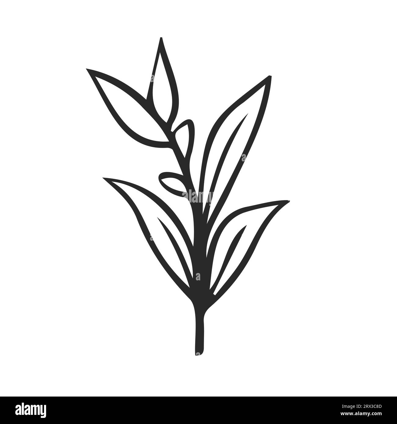 Doodle style vector illustration. Simple element of twig and leaves ...