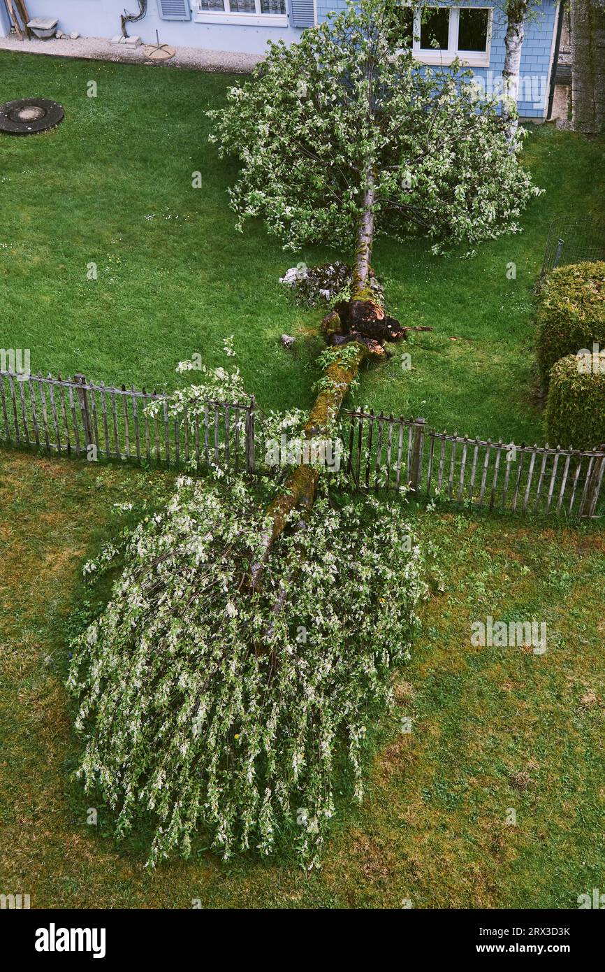 Broken fence yard hi-res stock photography and images - Alamy