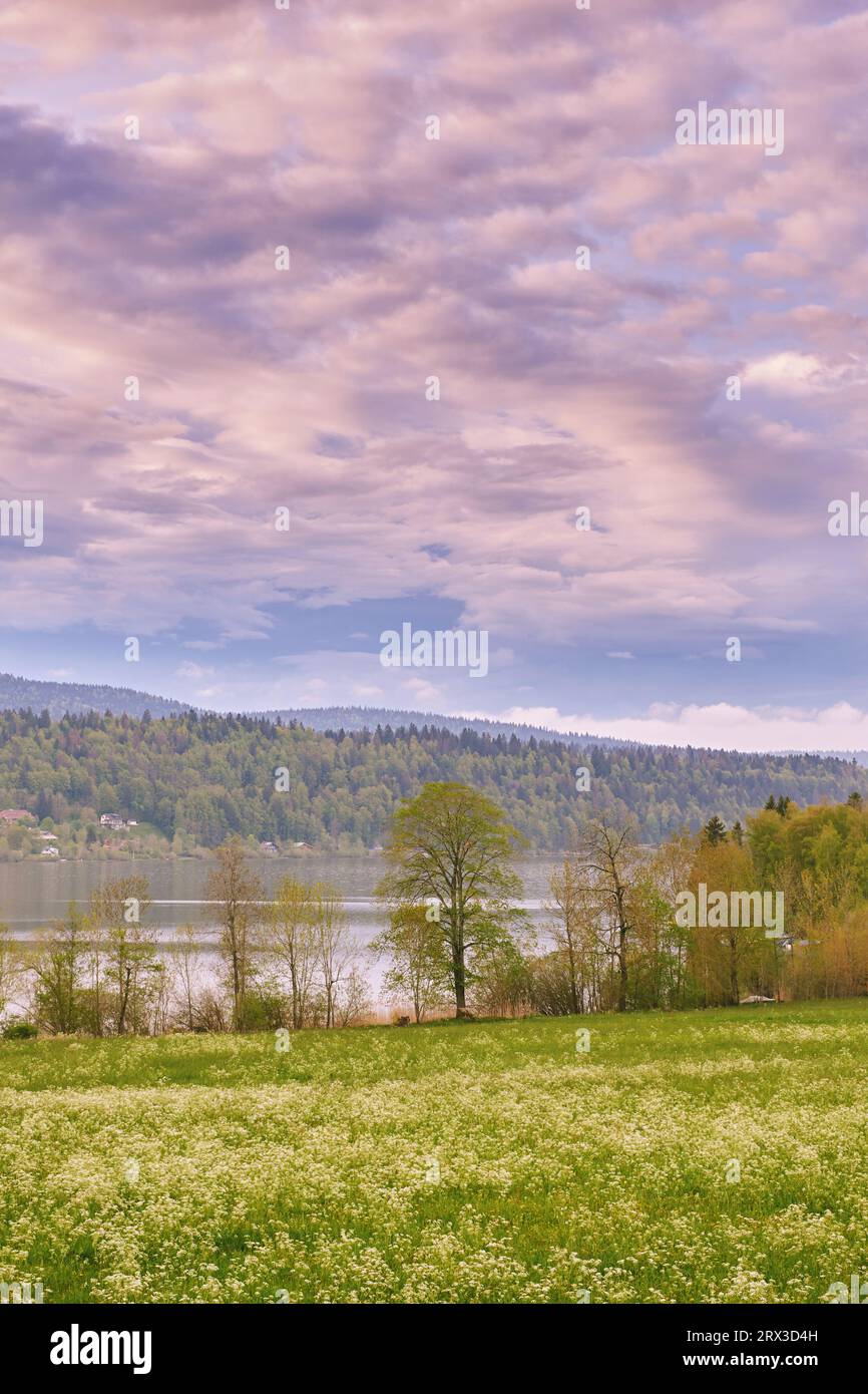 Beautiful spring landscape with with green field, fluffy clouds and ...