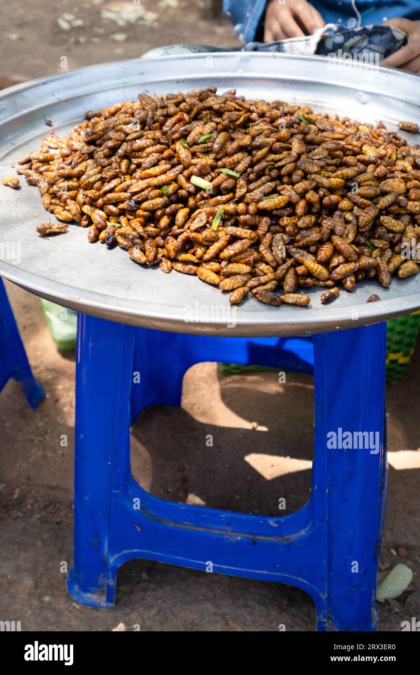 Cooked grubs for sale in a market at Phreah Reach Traop Mountain ...