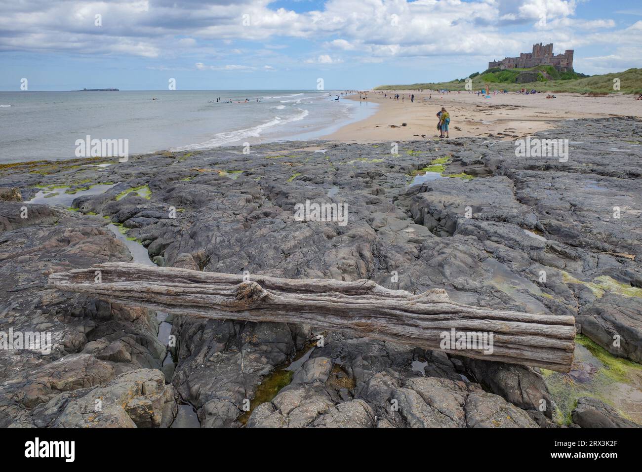 Bamburgh, UK - 14 July, 2023: Bamburgh castle and Northumbrian coast ...