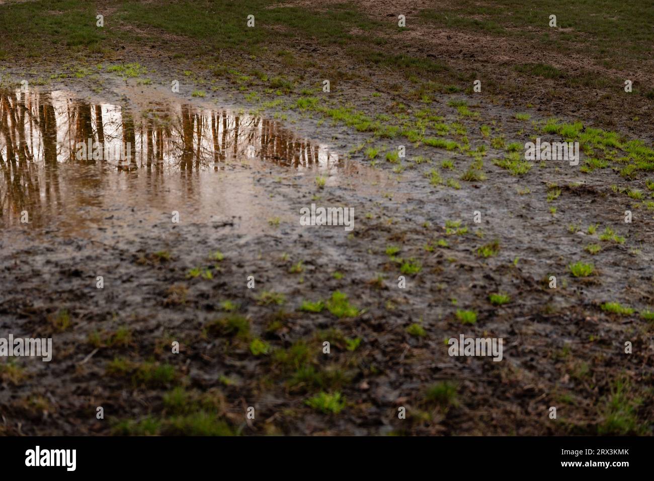 Mud puddle texture hi-res stock photography and images - Alamy