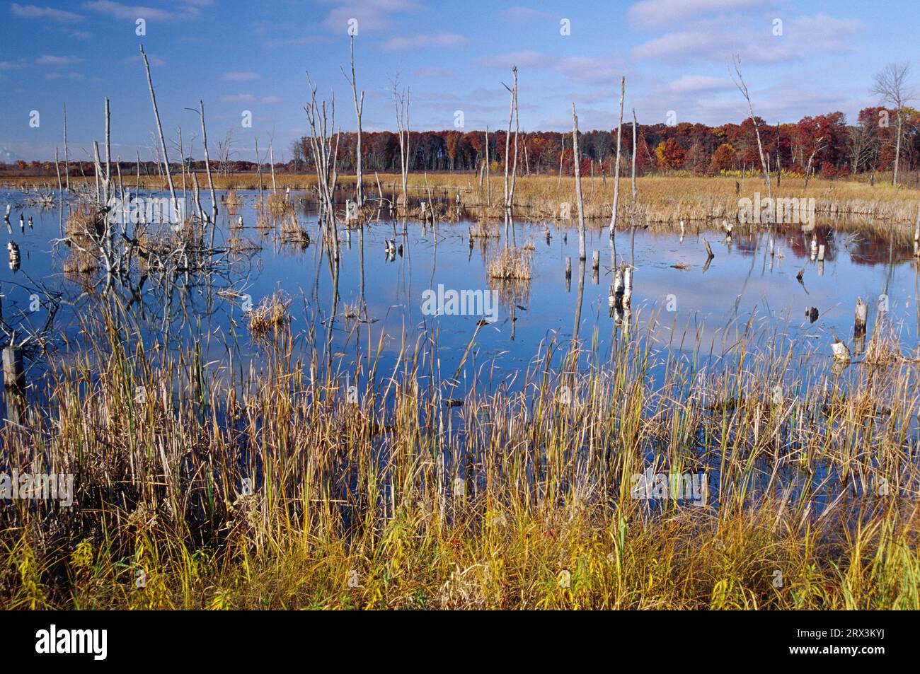 Sherburne national wildlife refuge hi-res stock photography and images ...
