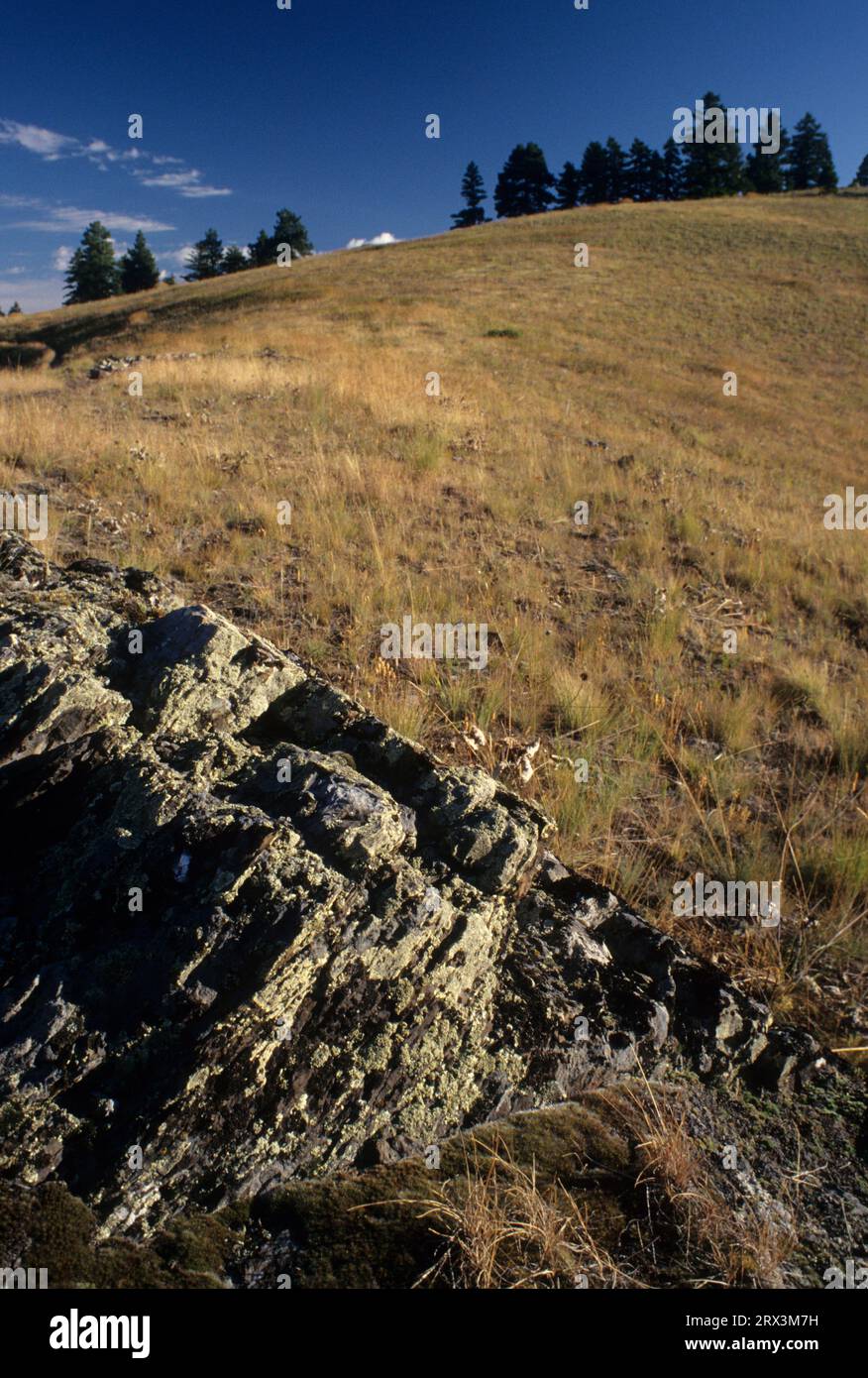 Grass range montana hi-res stock photography and images - Alamy