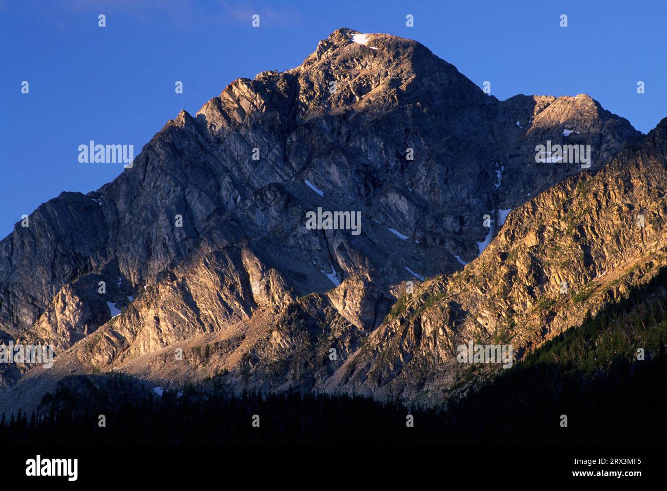 Anaconda pintler hi-res stock photography and images - Alamy