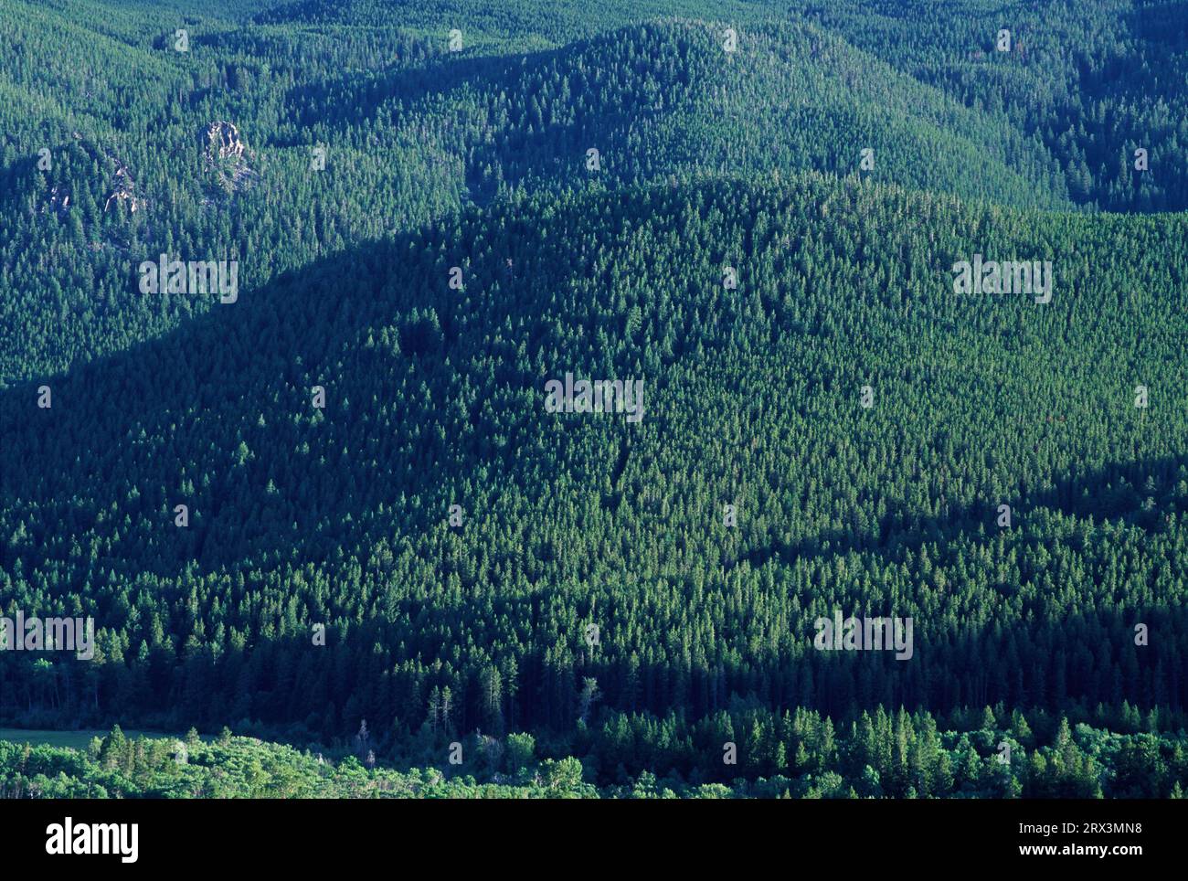 Mcdonald pass hi-res stock photography and images - Alamy