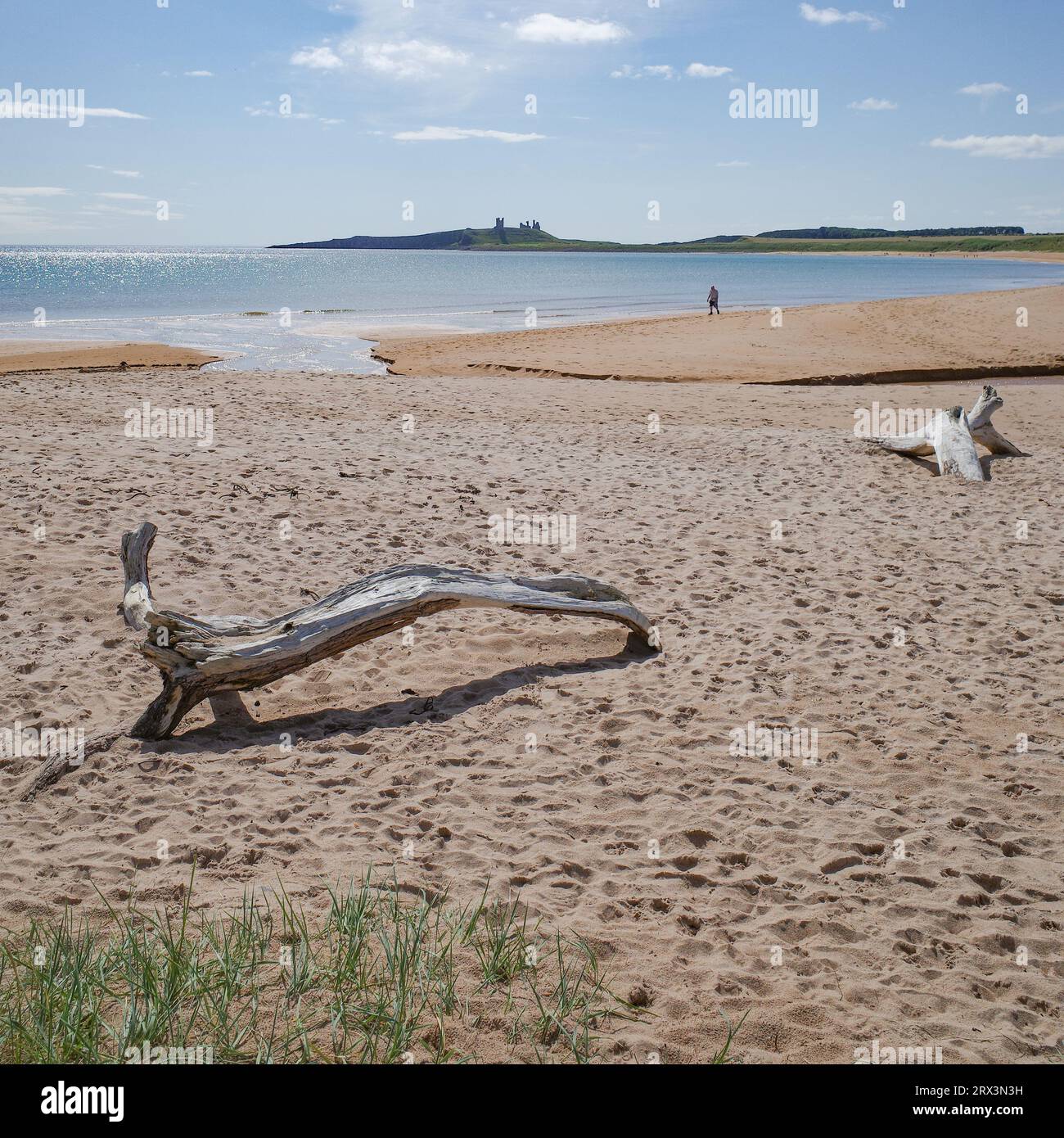 Low Newton, UK - 13 July, 2023: Views of Dunstanburgh castle and the ...