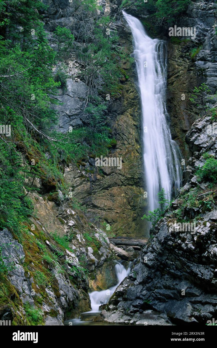 Mill Falls, Lewis & Clark National Forest, Montana Stock Photo - Alamy