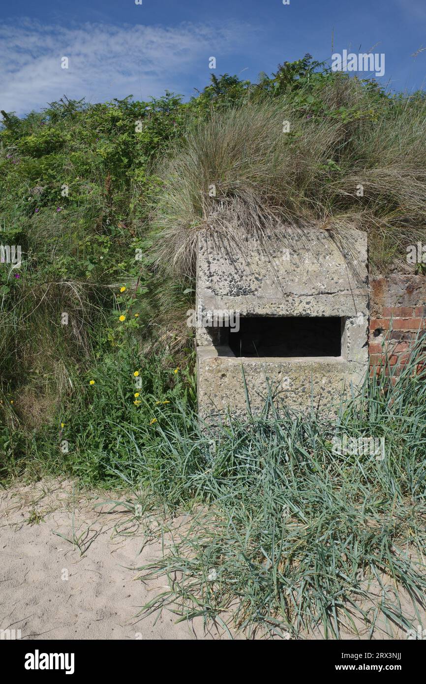 World war 2 pill box hi-res stock photography and images - Alamy