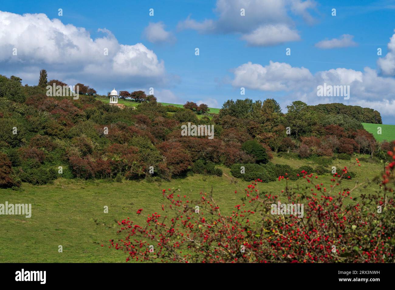 The Chattri on The South Downs at Patcham Nr Brighton East Sussex ...