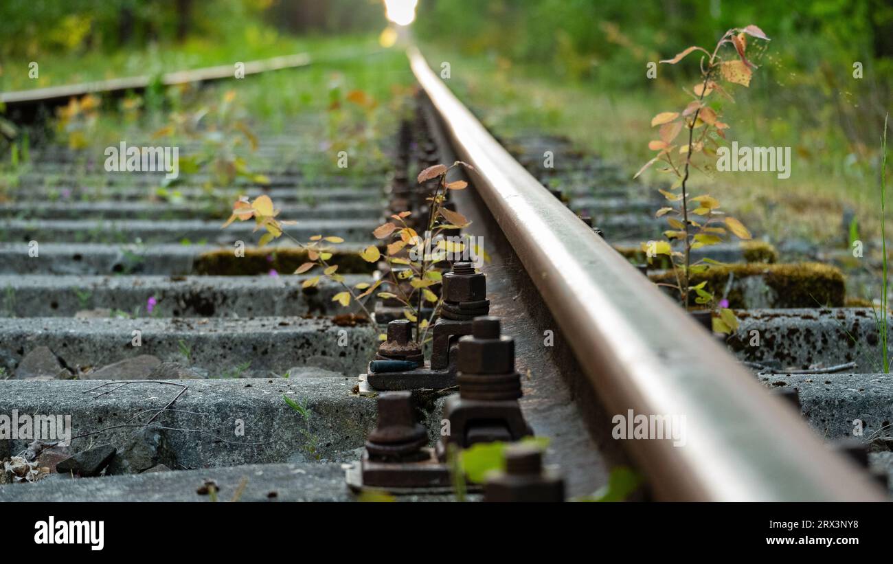 Rail tracks close up hi-res stock photography and images - Alamy