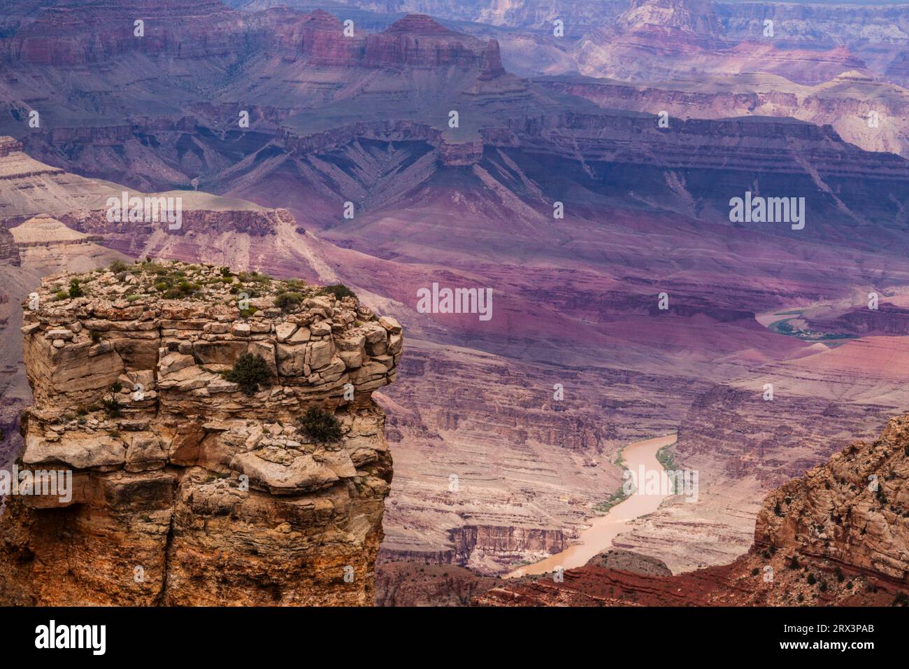 Colorado River winding through the Grand Canyon at Grand Canyon ...